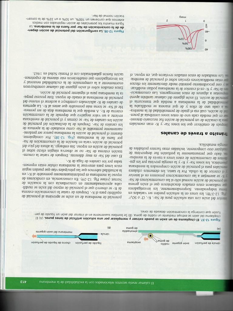 Alberts 1 Pág 2 | PDF