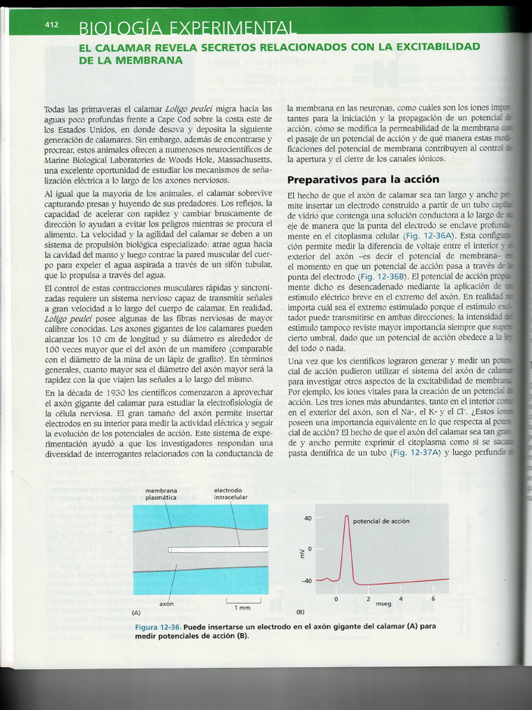 Alberts 1 Pág 1 | PDF
