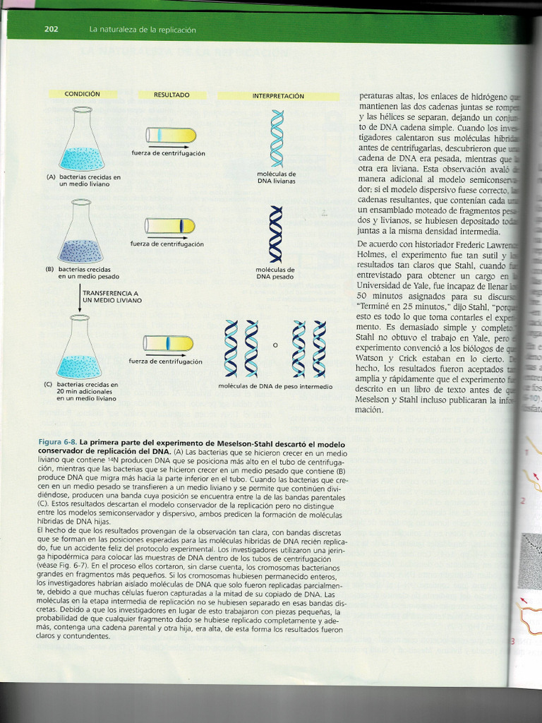 Alberts 2 Pag 3 | PDF