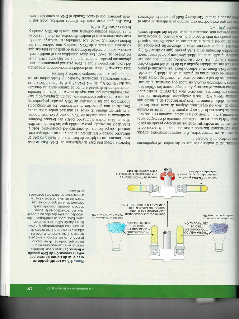 Alberts 2 Pag 2 | PDF