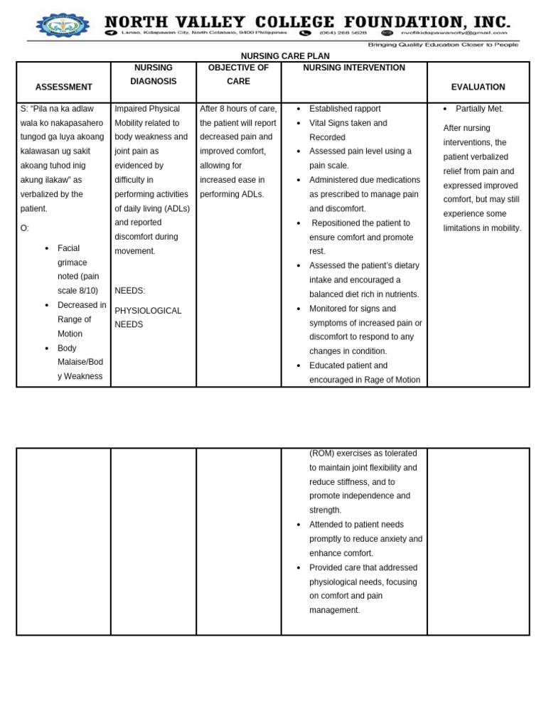 NCP-2024 | PDF | Pain | Sleep