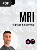 MRI Safety Zones Explained | PDF | Magnetic Resonance Imaging | Risk