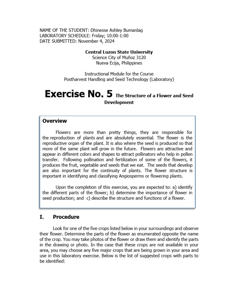BUMANLAG-DHINESSE-ASHLEY-Exercise 5. The Structure of A Flower and Seed Development-1 | PDF ...