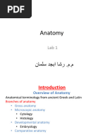 Anatomy and Physiology Unit 1 | PDF | Epithelium | Anatomical Terms Of ...
