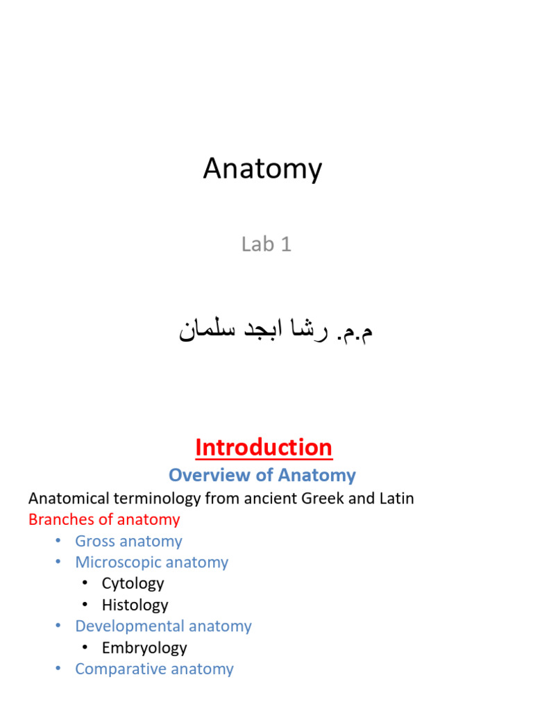 anatomy lab | PDF | Heart Valve | Epithelium