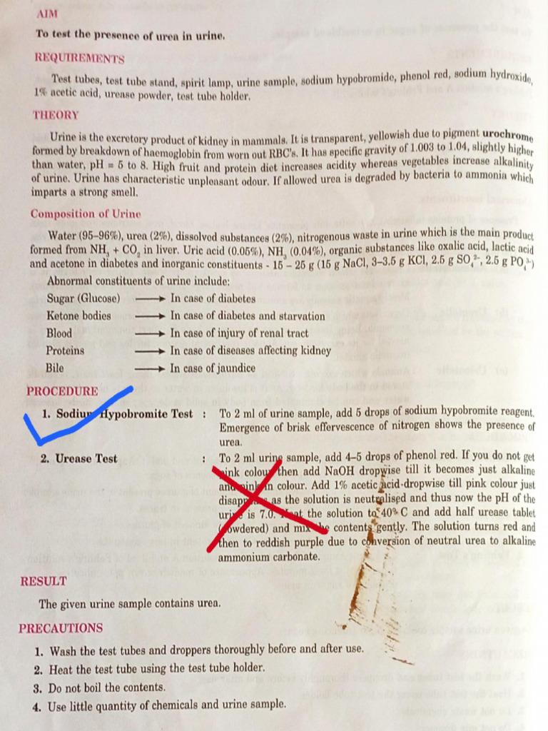 Experiment Mixed. Test of Sugar, Urea. | PDF | Urine | Chemical Compounds