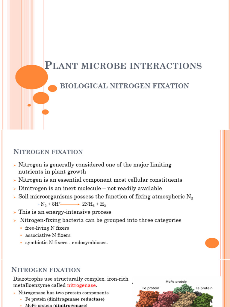 Nitrogen Fixation in Plant-Microbe Interactions | PDF | Biology | Nitrogen
