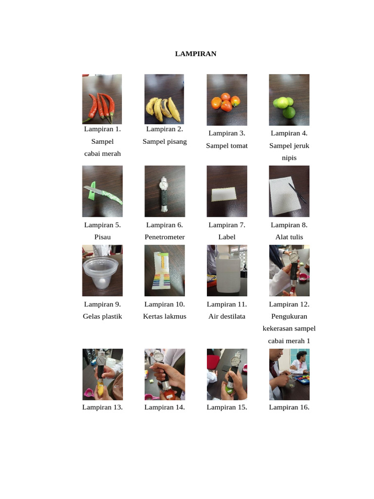 Lampiran TPP 2 | PDF | Sains & Matematika