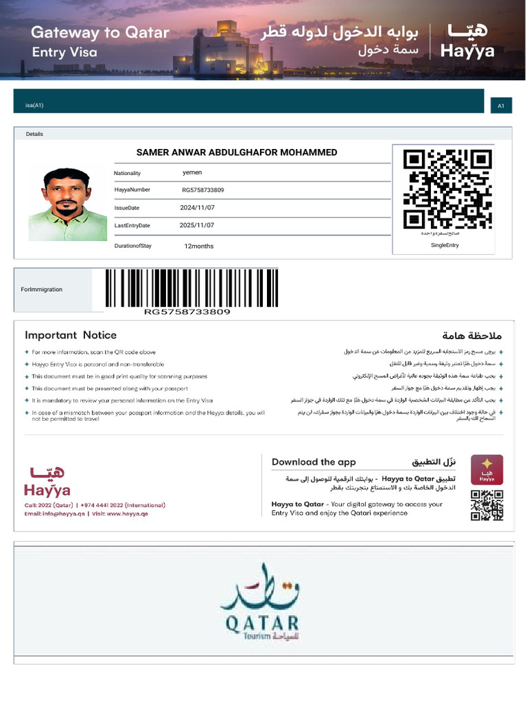 Samer Entry Visa | PDF
