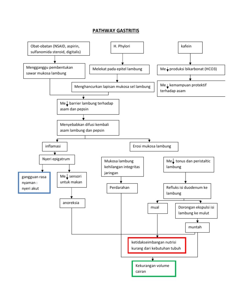 Pathway Gastritis dan Patofisiologinya | PDF