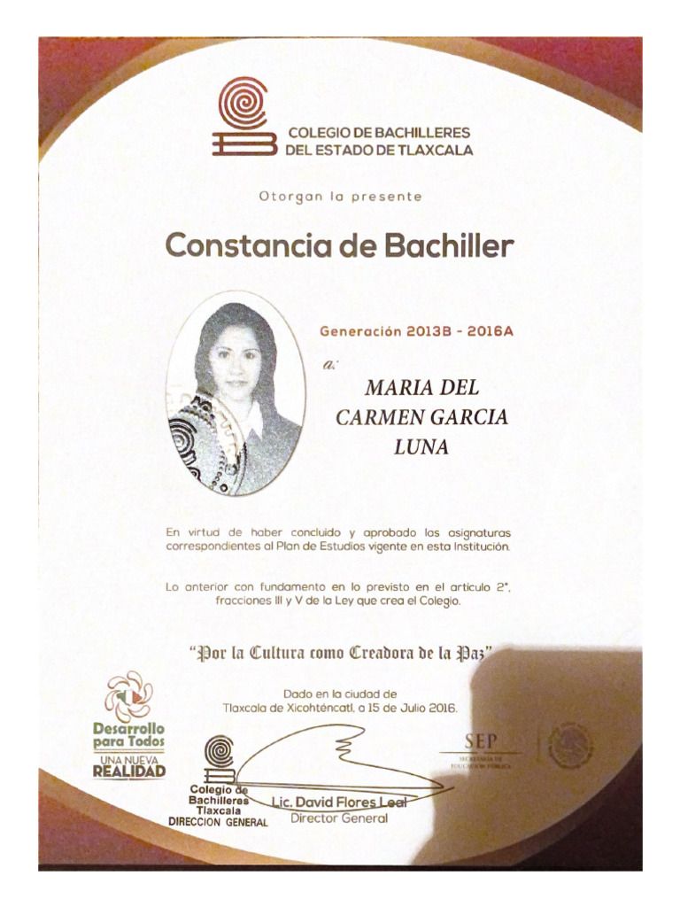 Constancia de Bachiller | PDF