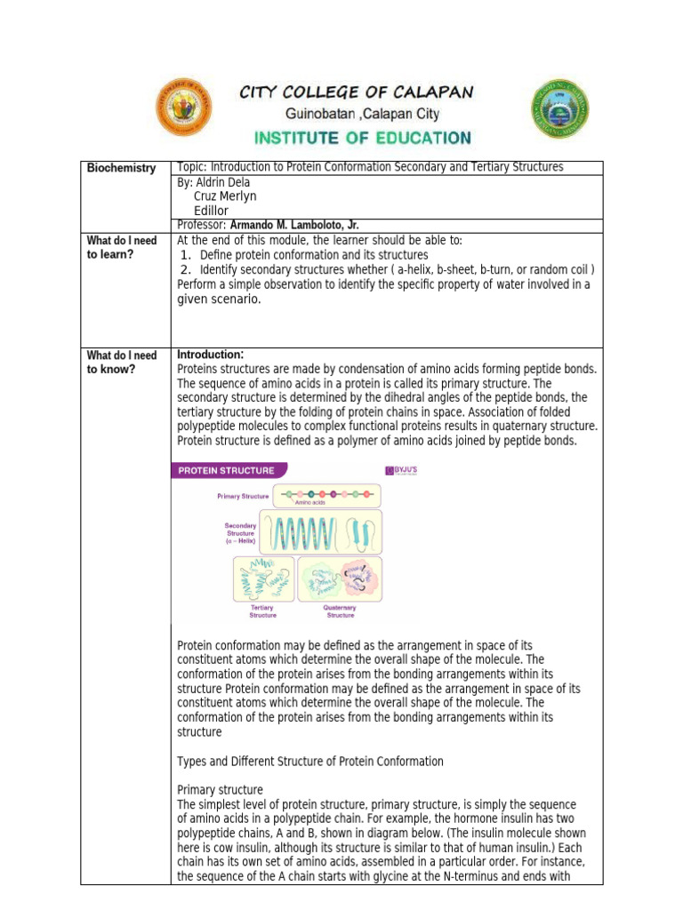 Biochemistry | PDF | Properties Of Water | Beta Sheet