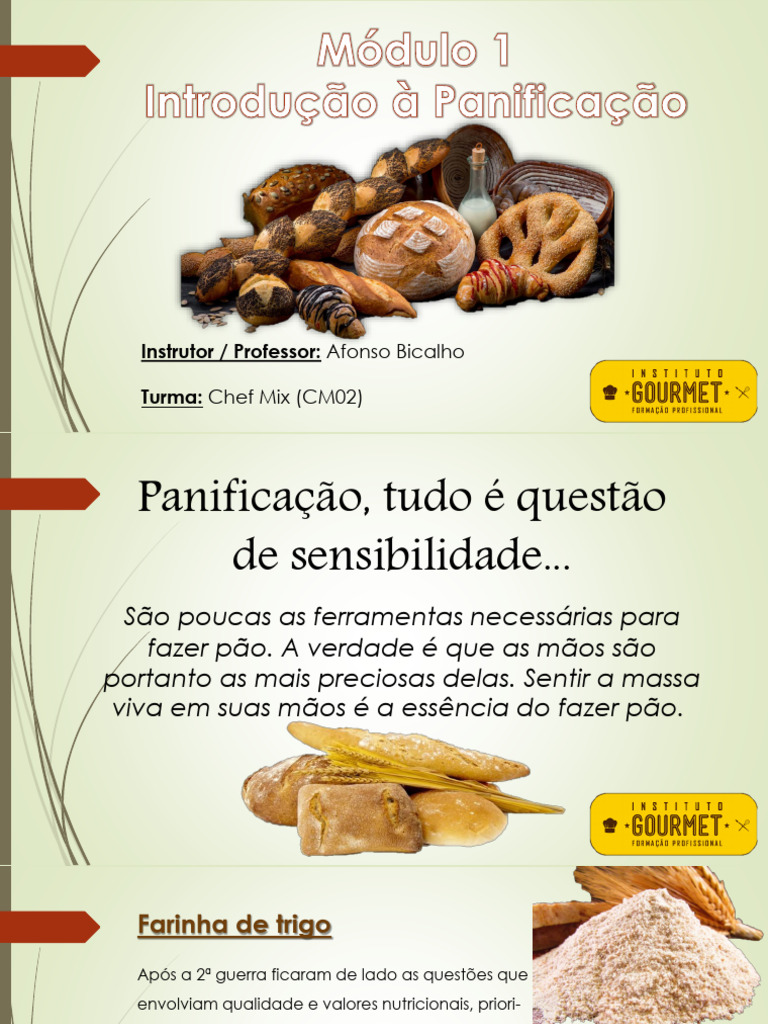 Introdução à Panificação: Ingredientes e Técnicas | PDF | Pães | Fermento