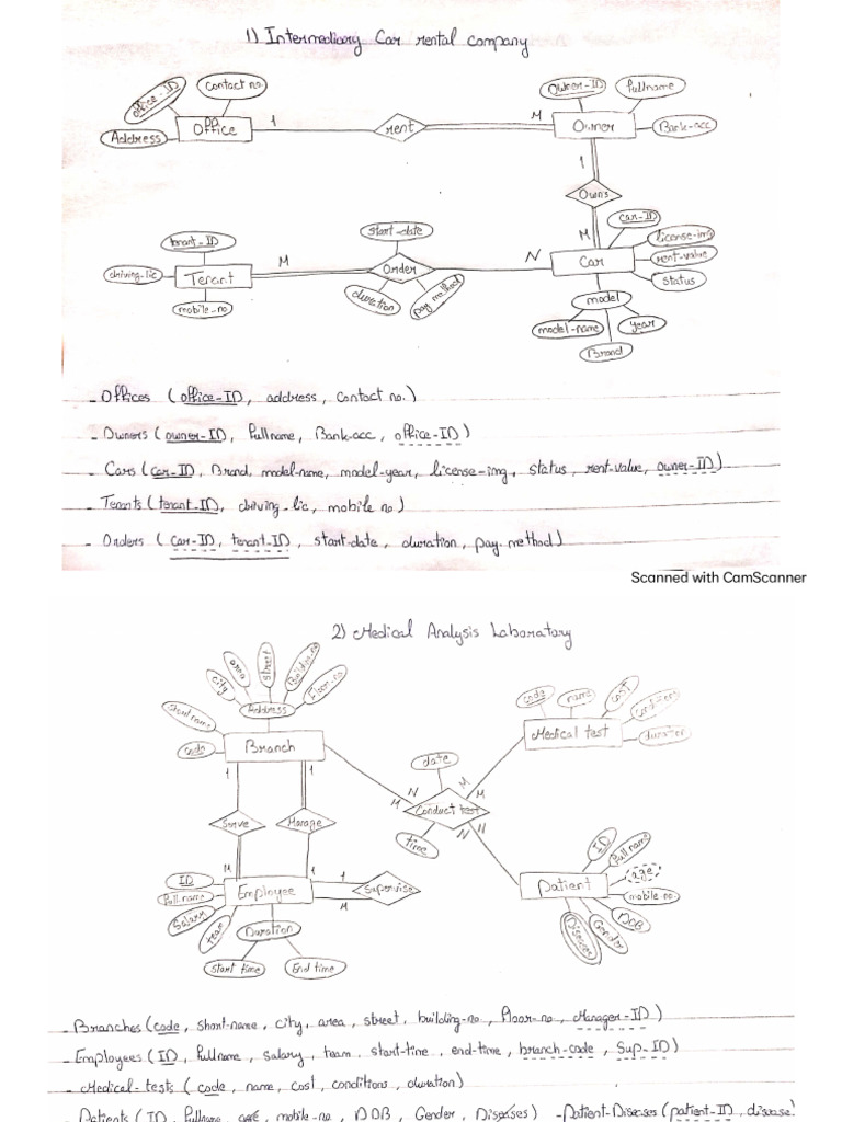 Lab 1 - ERD & Mapping | PDF