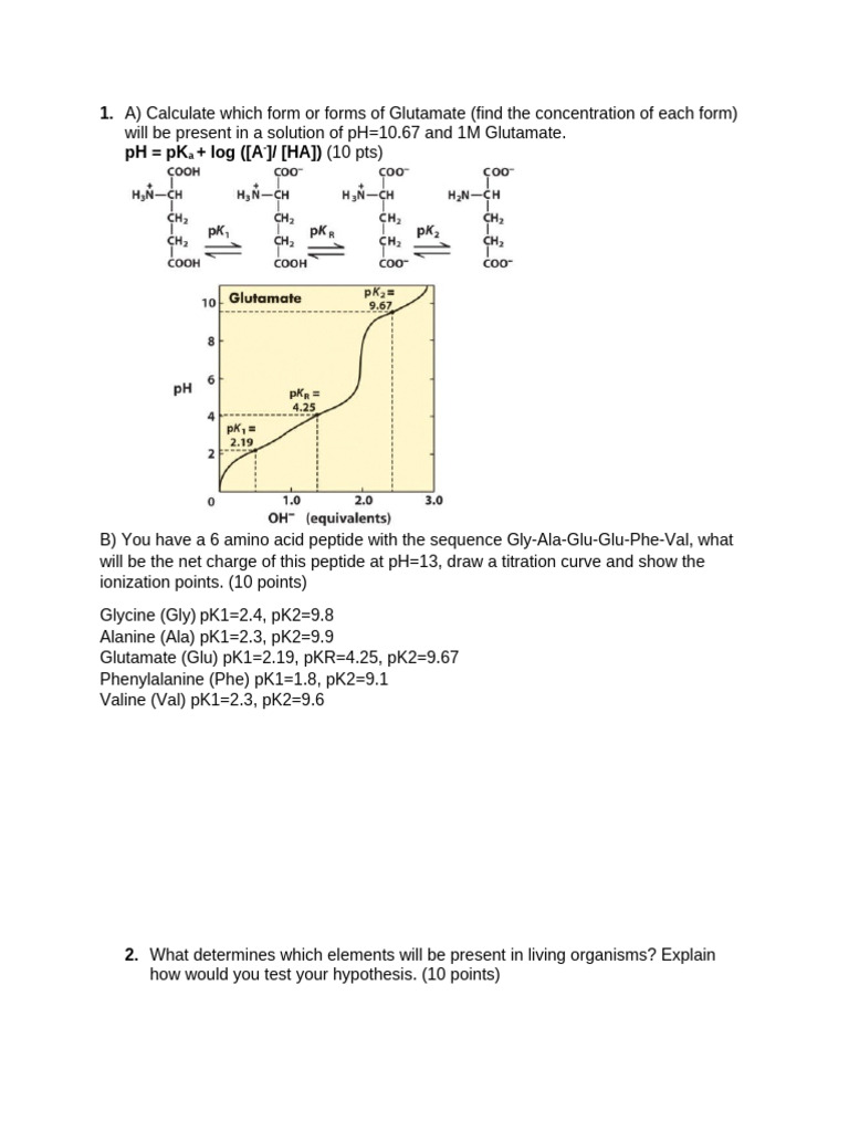 1st MT Example Questions | PDF