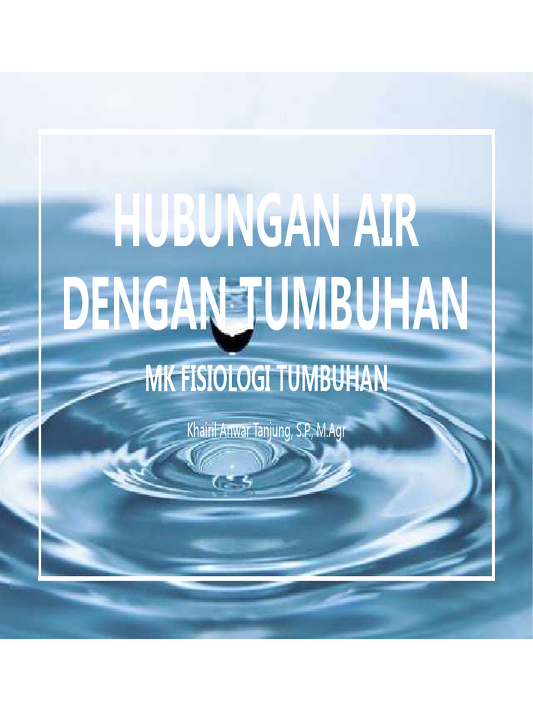 Bahan Kulah - Hubungan Air Dengan Tumbuhan (Difusi, Osmosis, Imbibisi ...