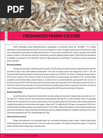Giant Freshwater Prawn Farming Guide | PDF | Fishing Industry