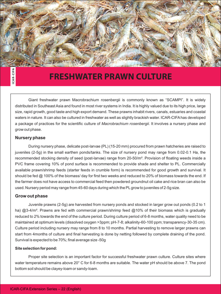 Freshwater Prawn Breeding and Culture - 0-2 | PDF | Pond | Water