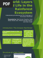 Wildlife in Rainforest Layers | PDF