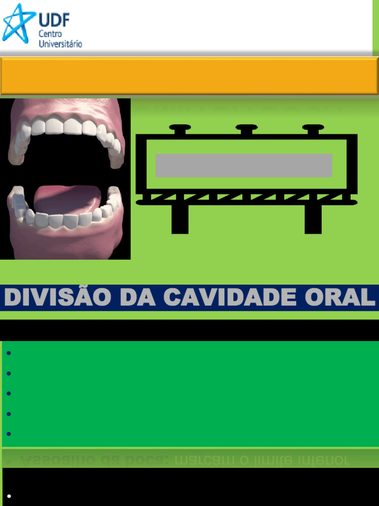 Anatomia da Cavidade Oral e Dentes | PDF | Dente humano | Boca