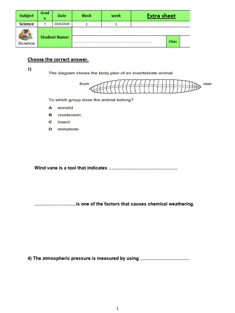 extra sheet | PDF | Wound | Soil