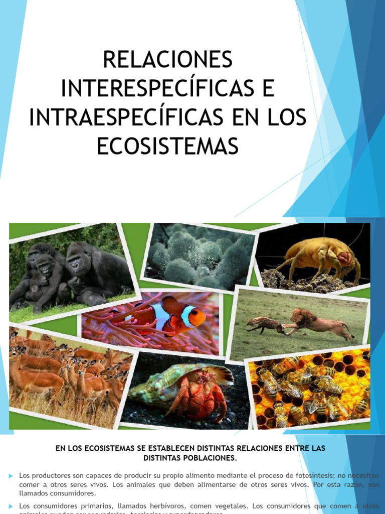 Relaciones Interespecíficas e Intraespecíficas en Los Ecosistemas | PDF ...