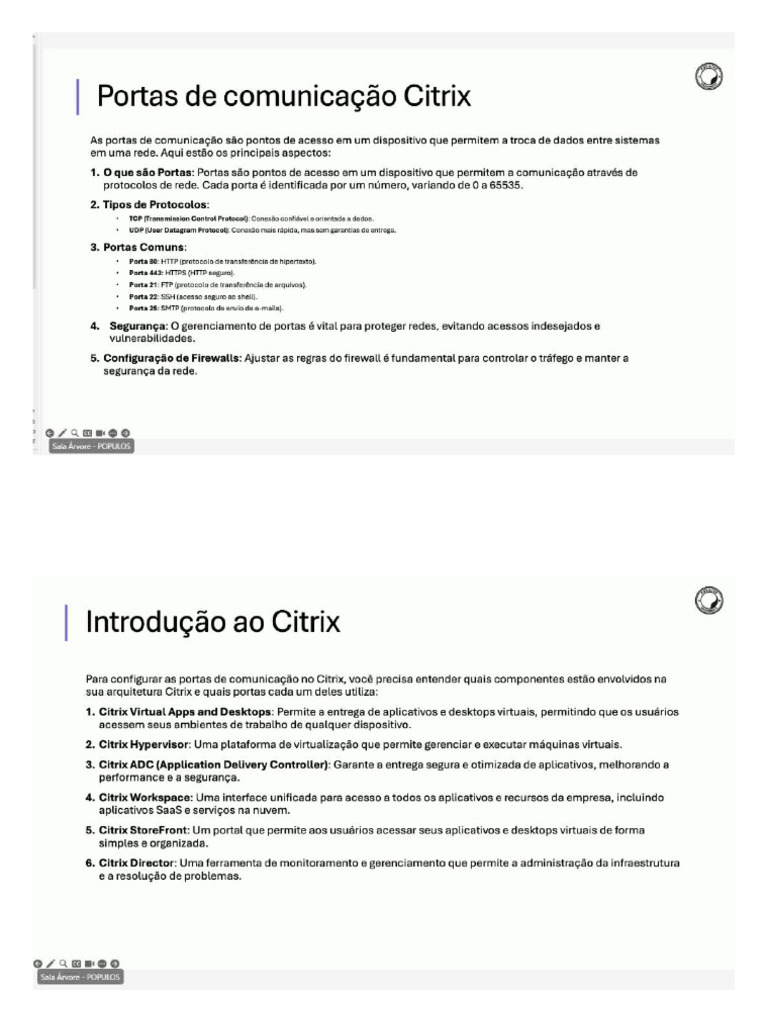 Citrix | PDF