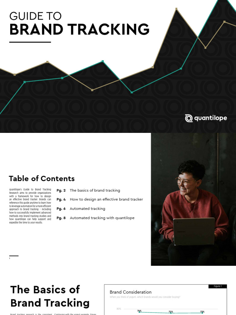 Whitepaper Brand Tracking 2022 | PDF | Brand | Target Audience