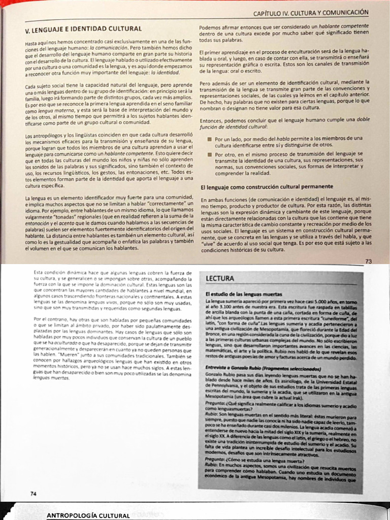 Lenguaje e Identidad Cultural | PDF