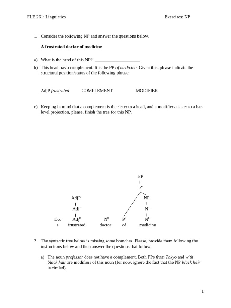 Syntax Exercises 2 - NP | PDF | Semantics | Linguistic Morphology