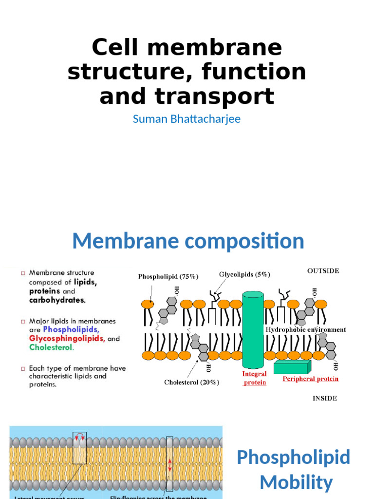 Cell Membrane Structure, Function and Transport | PDF | Cell Membrane | Membrane Biology