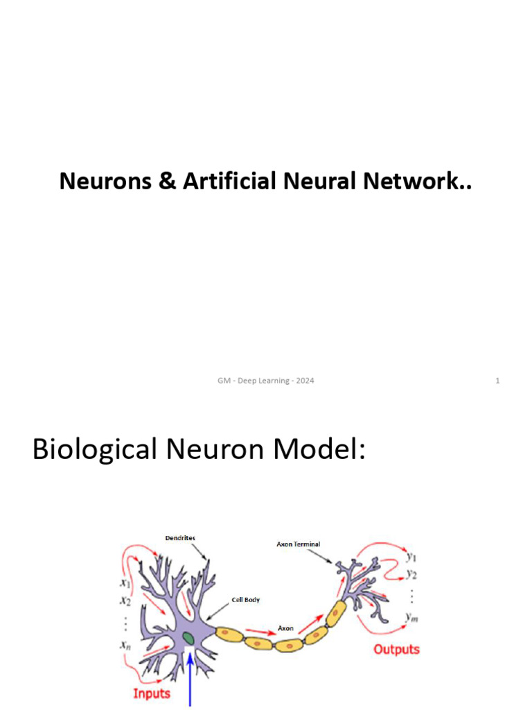Understanding Neurons in Deep Learning | PDF | Neuron | Dendrite