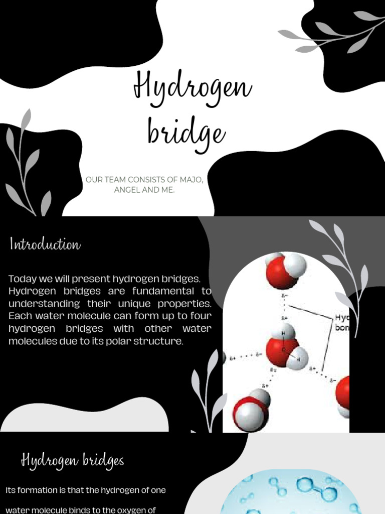 Understanding Hydrogen Bridges in Water | PDF