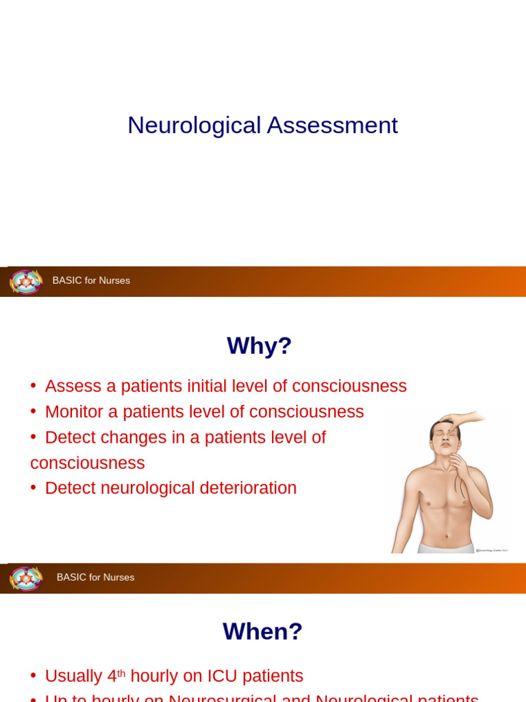 (2016) Lecture - Neurological Assessment | PDF | Nervous System ...