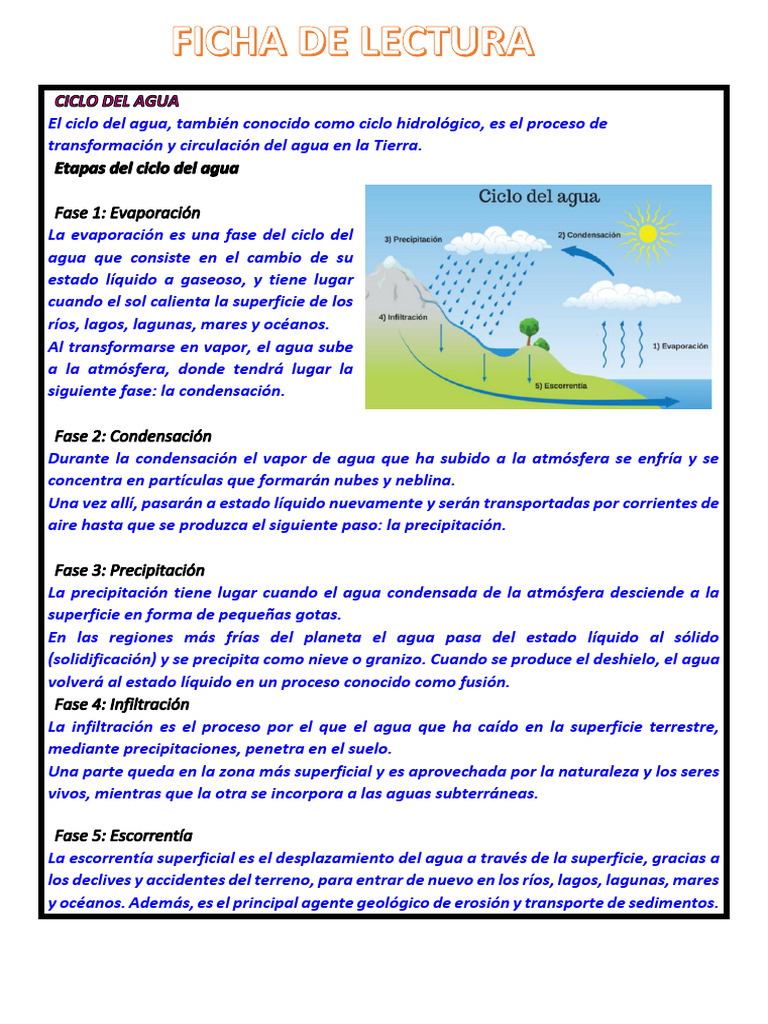 Ciclo Del Agua Lectura | PDF | Arte | Ciencia y matemáticas