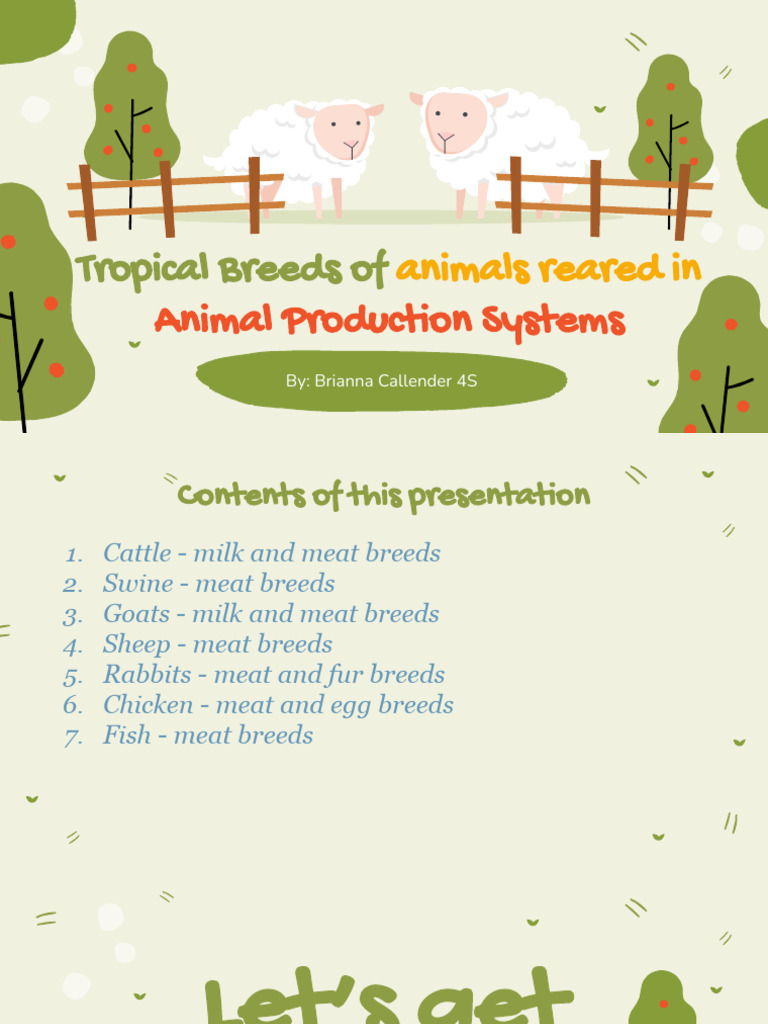 Brianna Callender 4S - Agri - Science Project | PDF | Cattle | Domesticated Animals