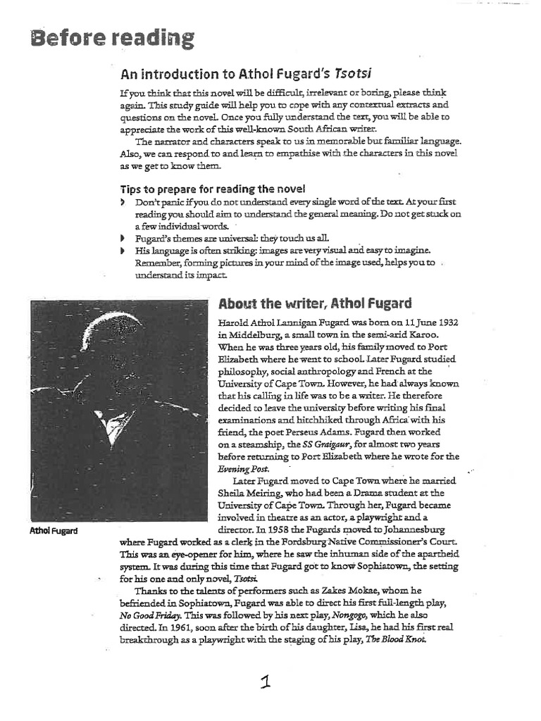 Tsotsi Study Guide | PDF