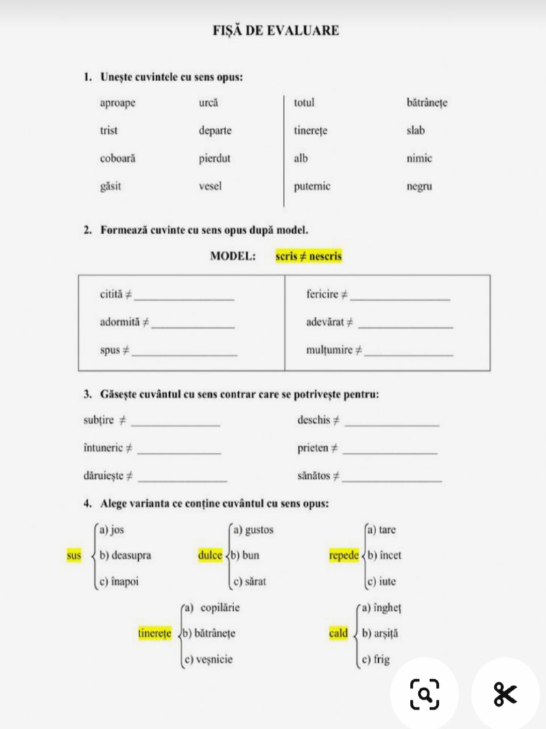 Romana Fise | PDF