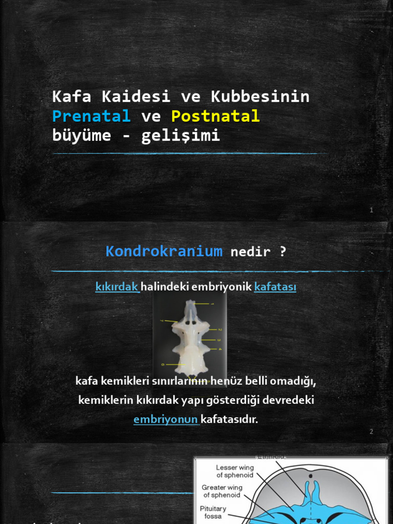 6kafa Kaidesi Ve Kubbesinin Gelişimi | PDF
