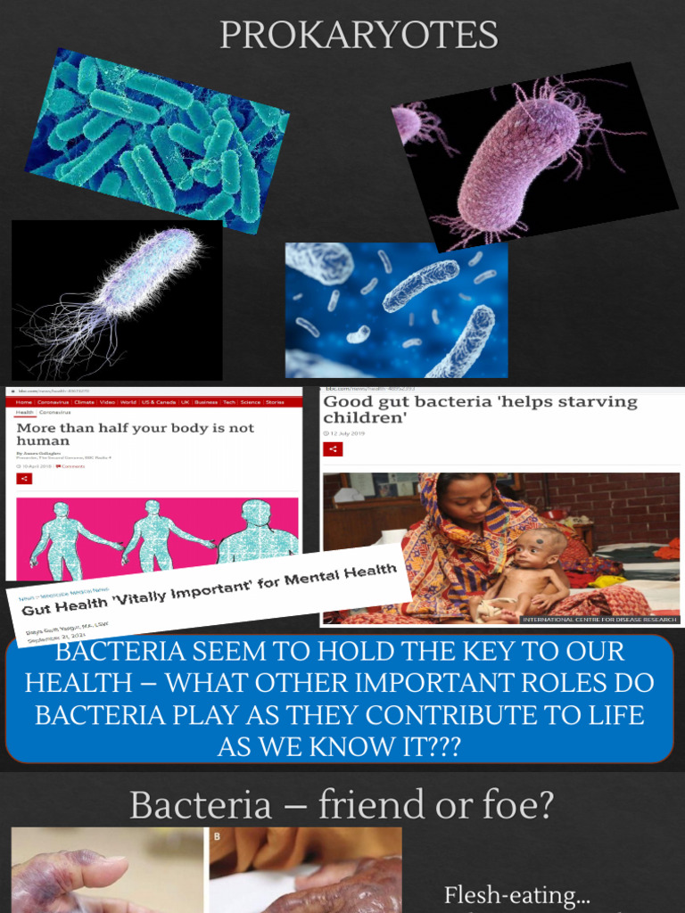 The Role of Prokaryotes in Health | PDF | Cell (Biology) | Bacteria