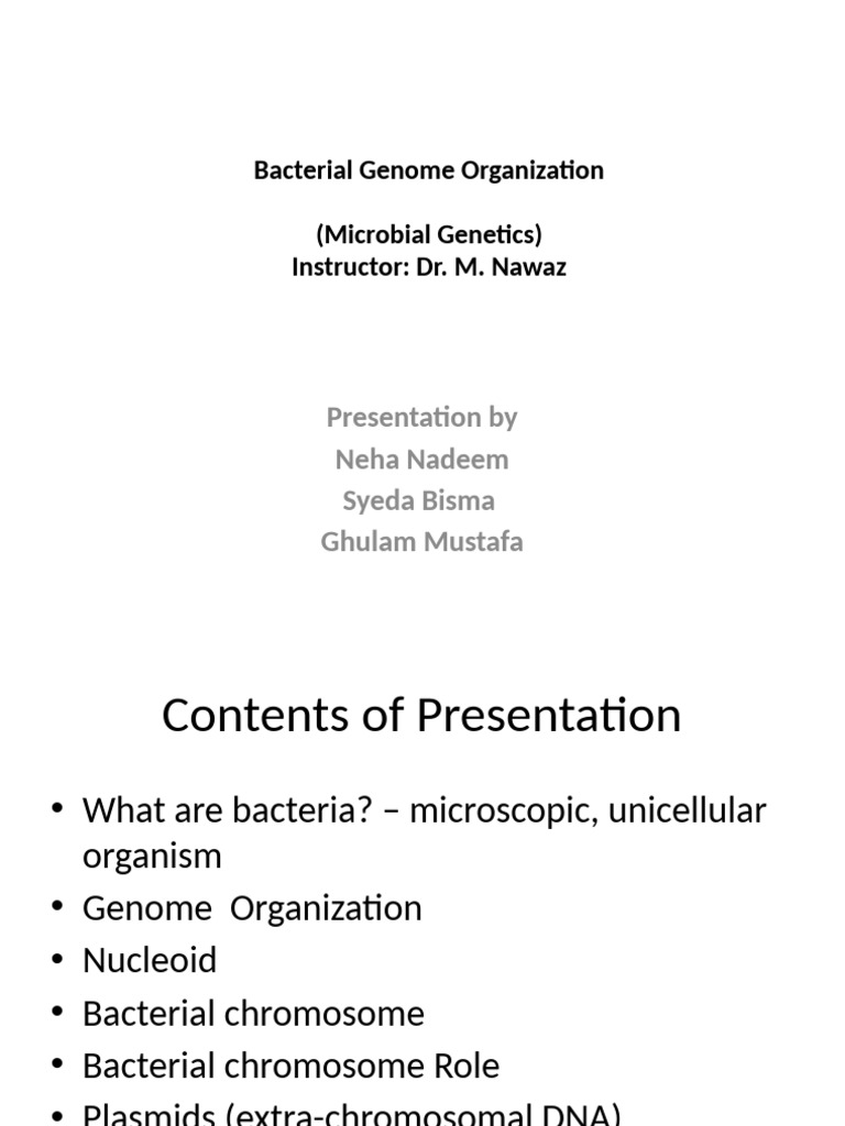 Bacterial Genome Organization Overview | PDF | Plasmid | Bacteria