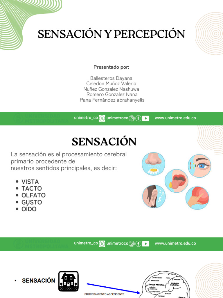 Sensación y Percepción | PDF | Percepción | Sentidos