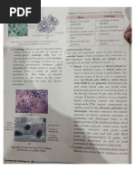Class 9th Animal Tissue Notes | PDF | Epithelium | Muscle