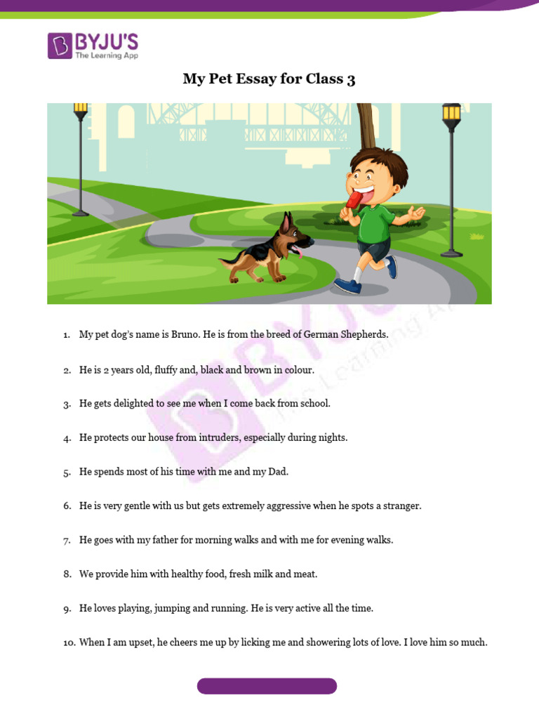 My Pet Essay For Class 3 | PDF