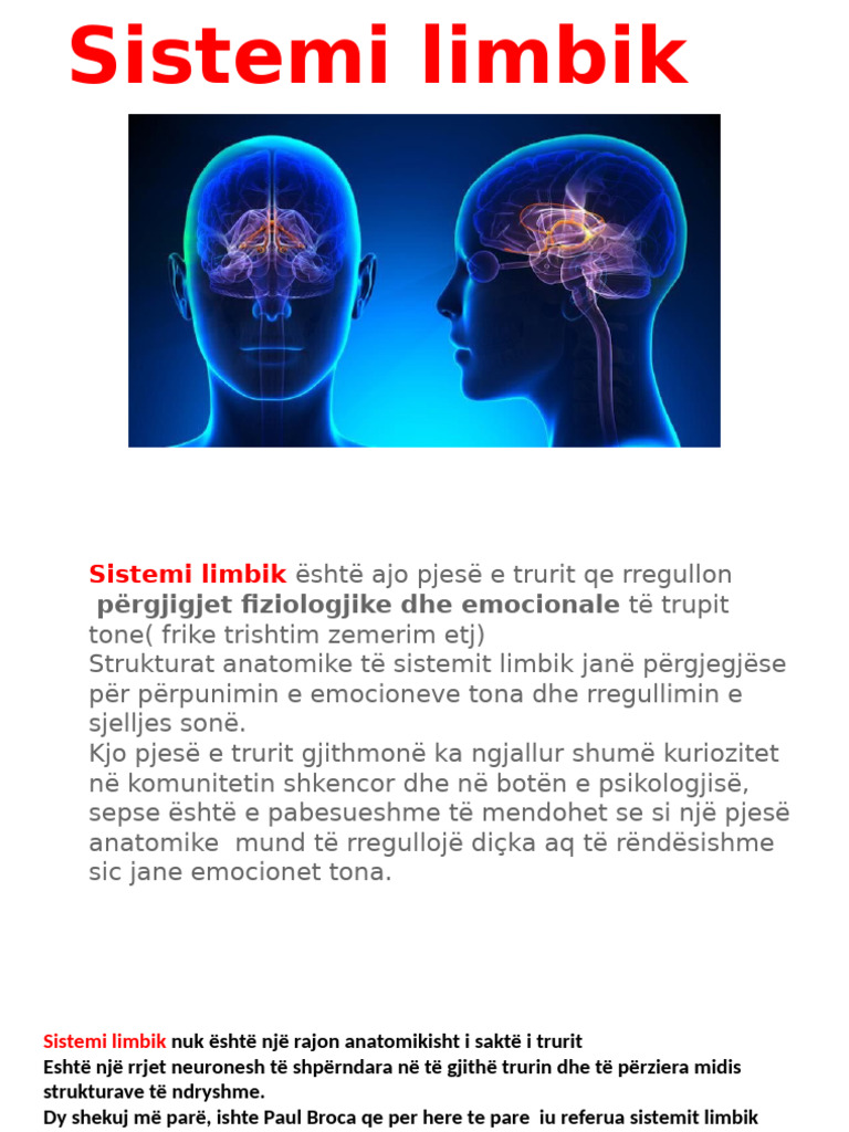 Sistemi Limbik | PDF