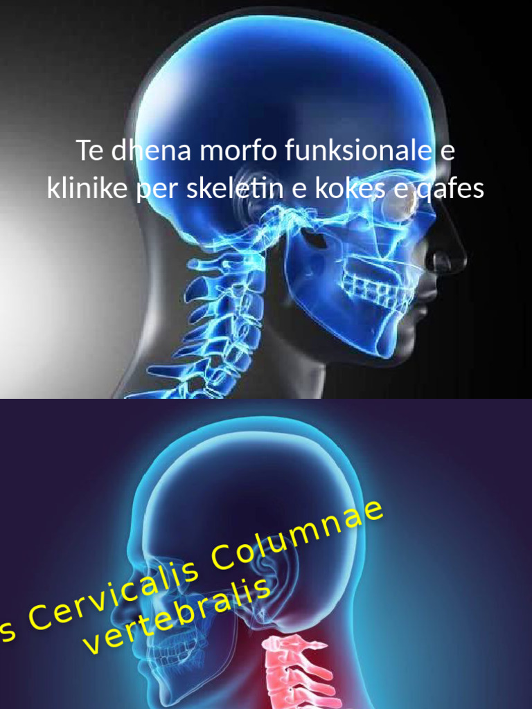 Koka e Qafa, Te Dhena Morfofunksionale Dhe Klinike Te Skeletit Koke ...