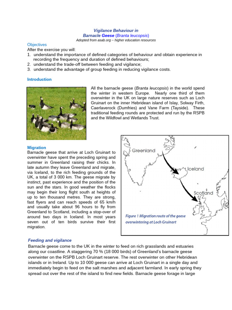 Vigilance in Barnacle Geese Flocks | PDF | Bird Migration | Zoology