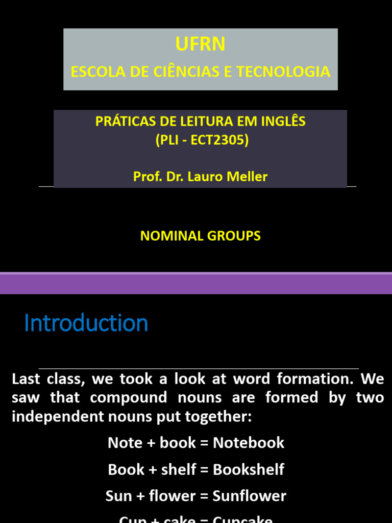 06 Pli Nominal Groups 2024.2 | PDF | Adjective | Linguistic Typology