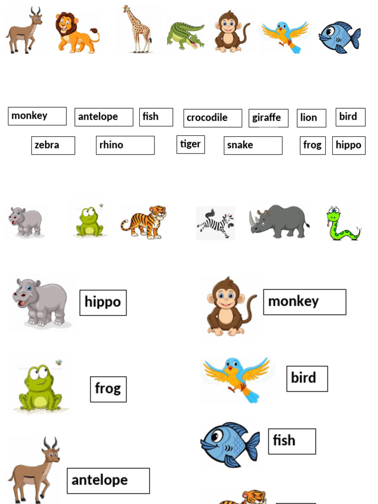 Klasa 3 U7 Animals Eat | PDF