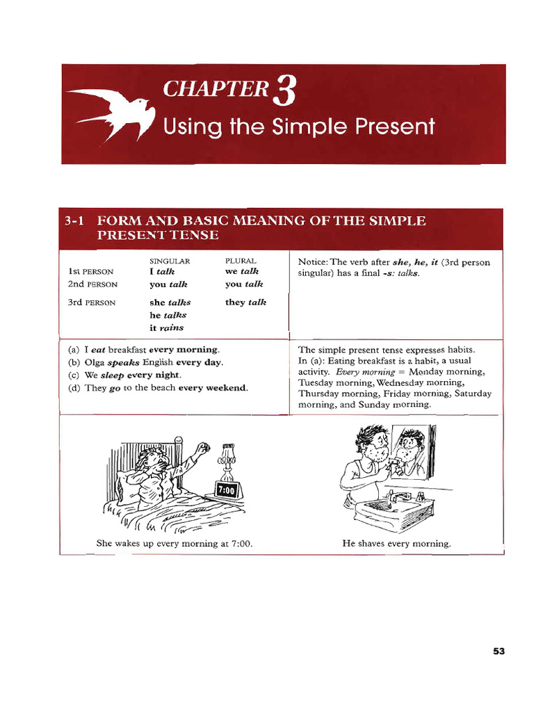 Using The Simple Present | PDF